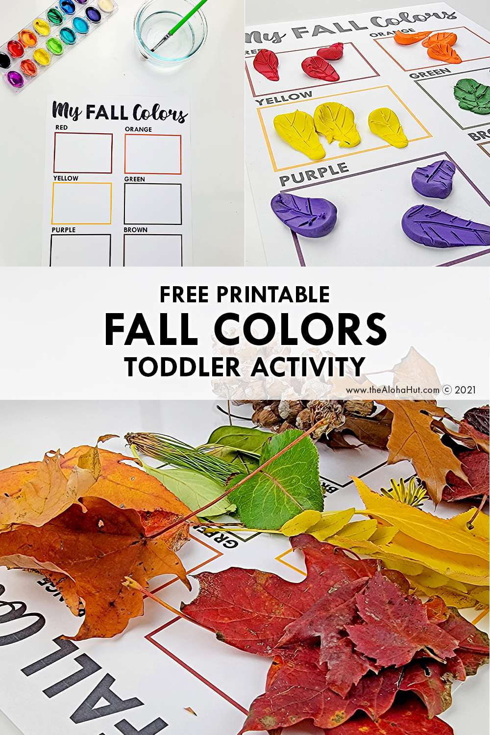 Easy Fall Colors Toddler Activity - The Aloha Hut