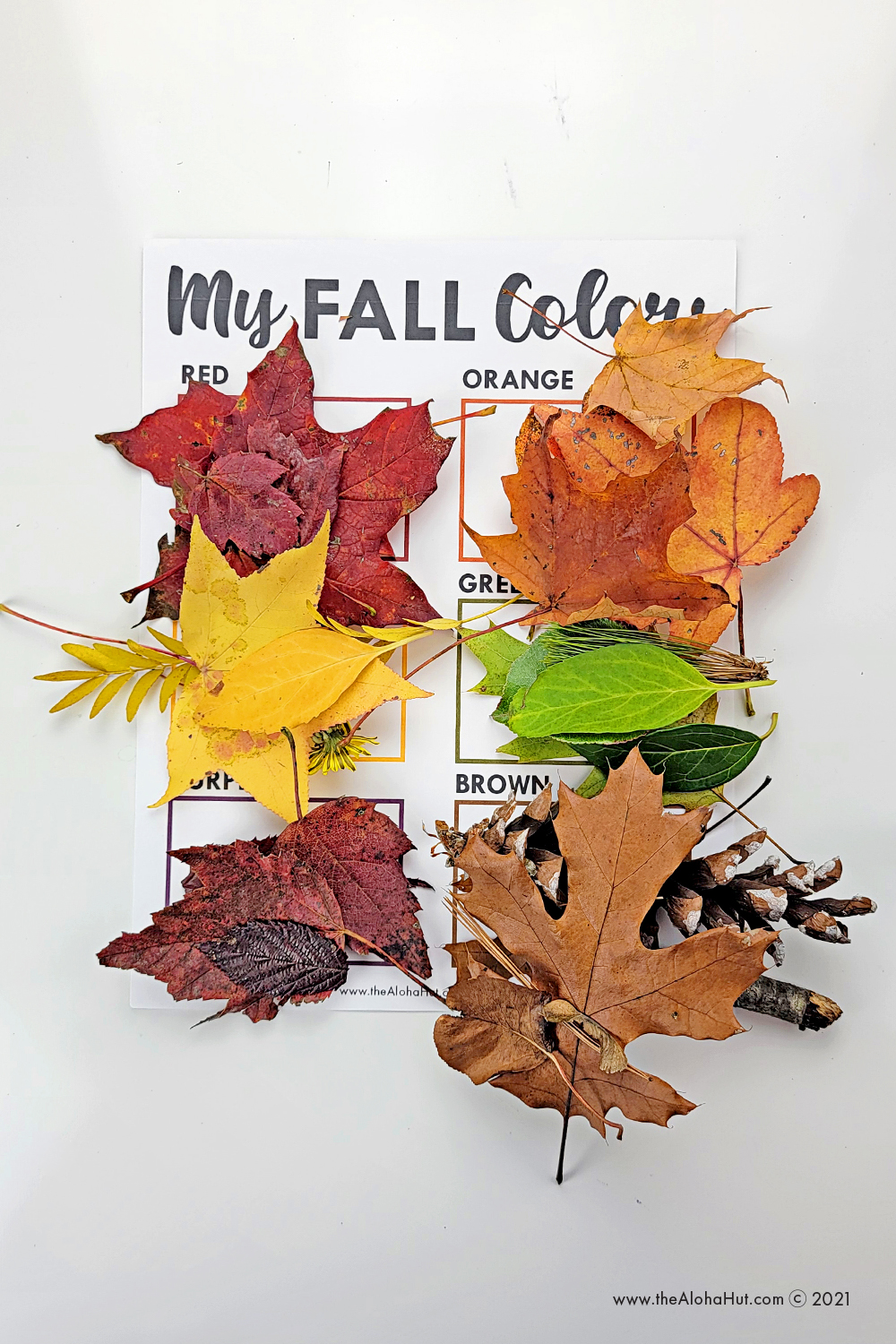 Easy Fall Colors Toddler Activity - The Aloha Hut