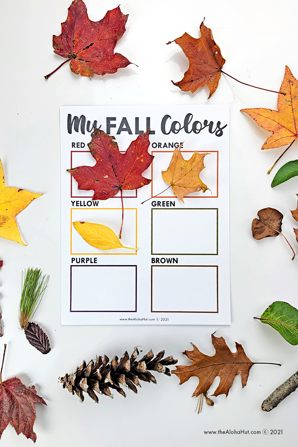 Easy Fall Colors Toddler Activity - The Aloha Hut