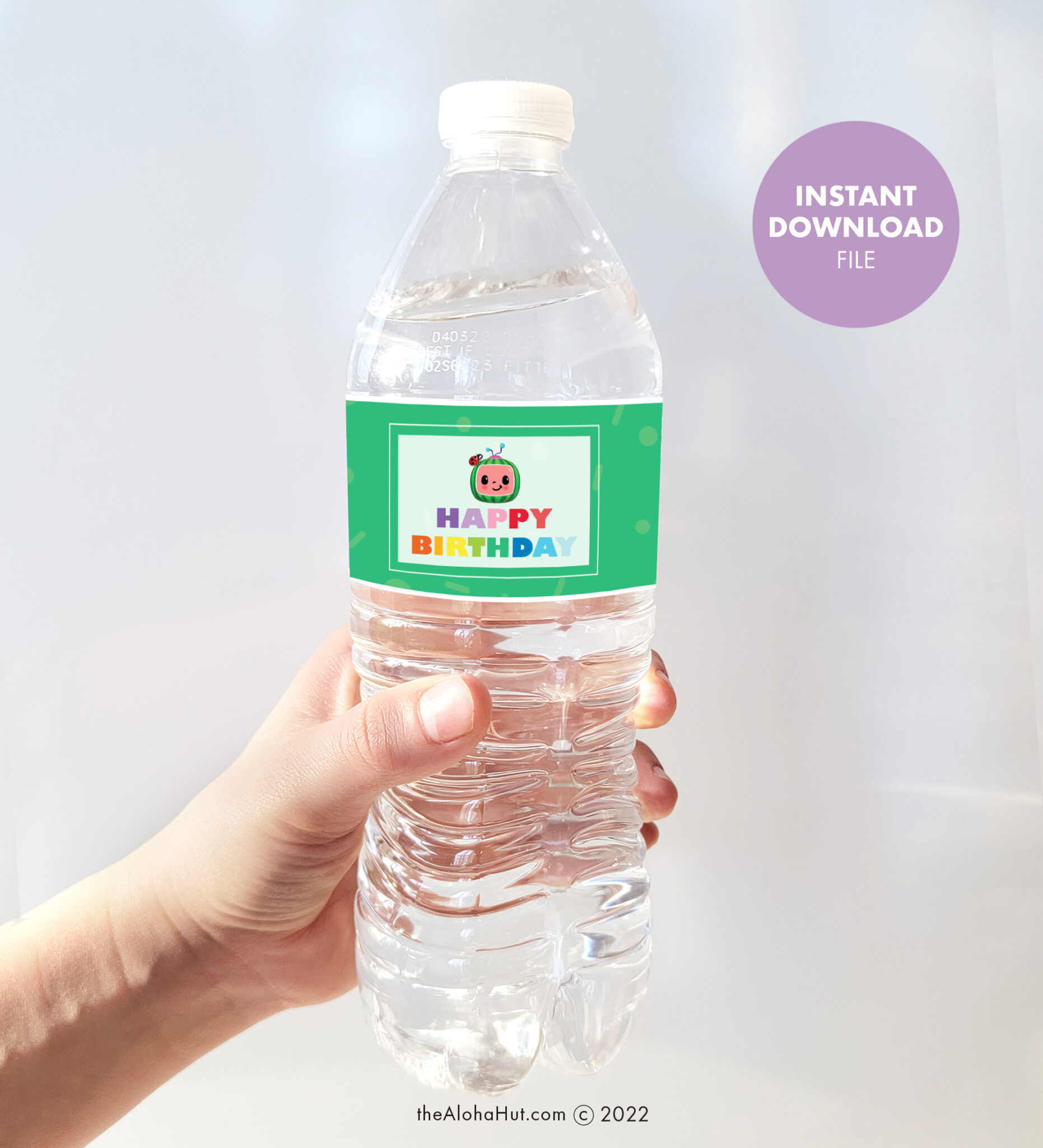 9 Cocomelon Birthday Party Ideas - Easy and Simple Budget-Friendly ...