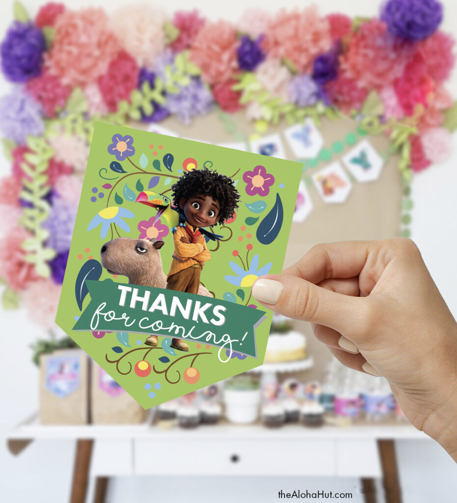 13 Magical Encanto Party Ideas - Part 1 - Decor - The Aloha Hut